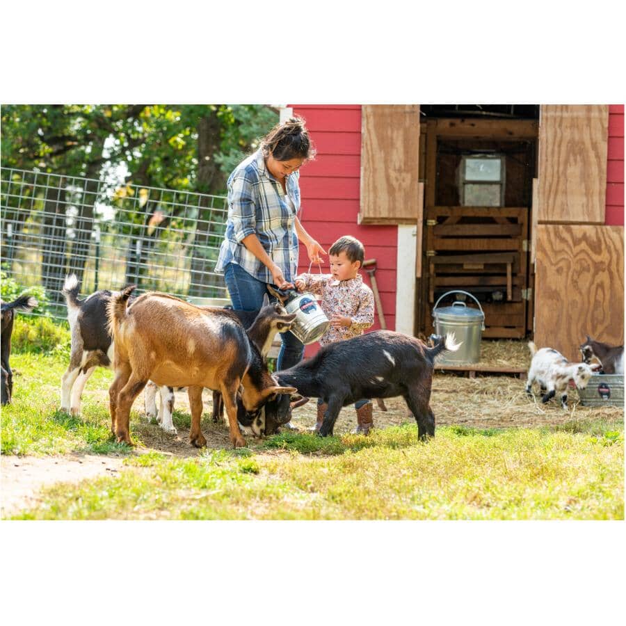 BEHRENS Hot Dipped Galvanized Utility Pail | Home Hardware