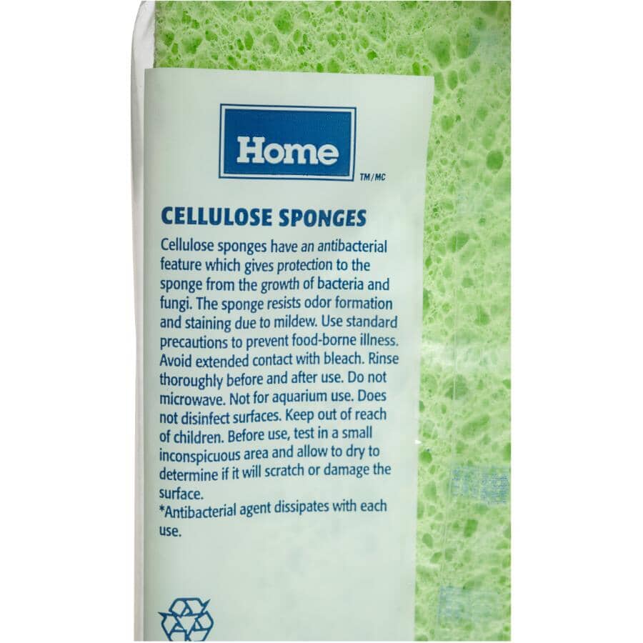 HOME 6" x 4" Ultra Fresh All Purpose Sponge | Home Hardware