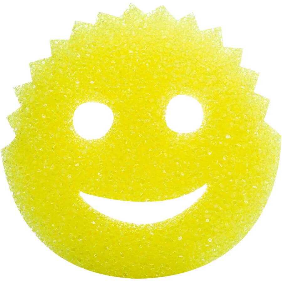 SCRUB DADDY Daddy Dual Sided Scrubber & Sponge | Home Hardware
