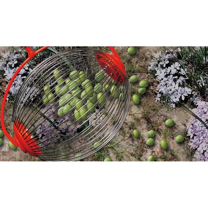 HOME ESSENTIALS Nut Gatherer, with Telescopic Handle | Home Hardware