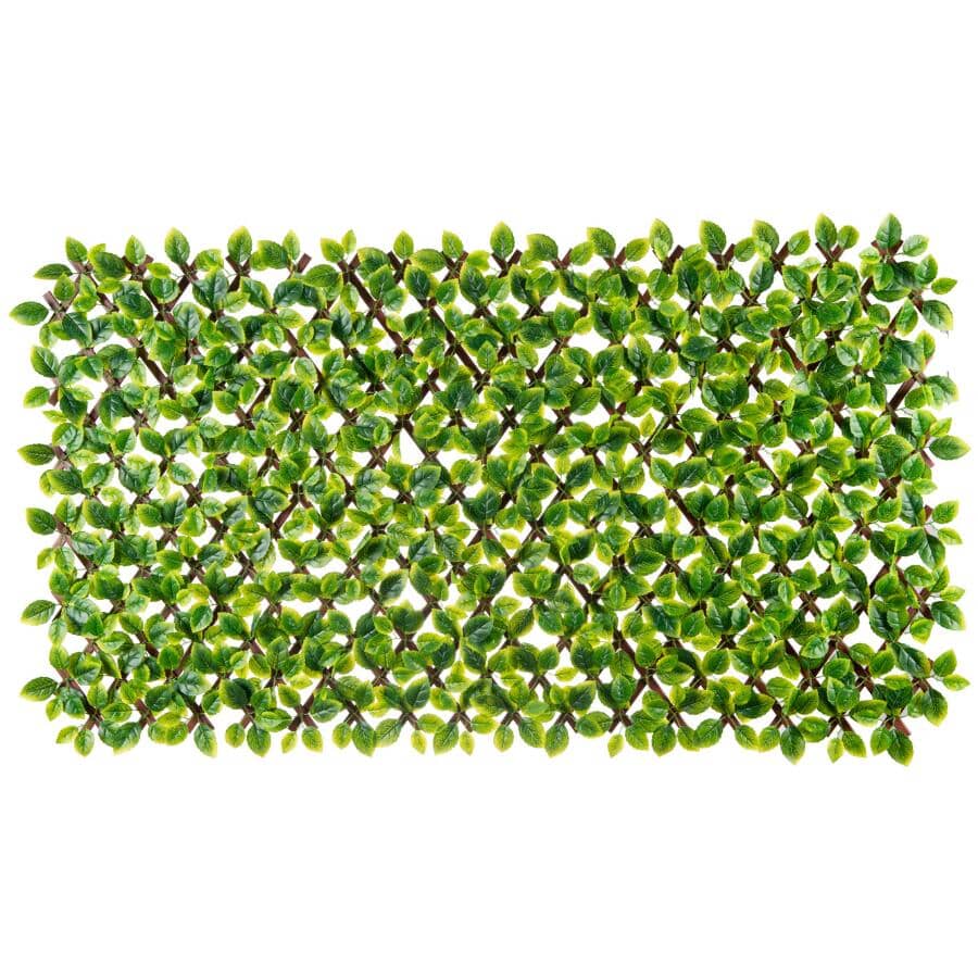 NATURAE DECOR Expandable PVC Trellis with Wild Mint Leaf | Home Hardware