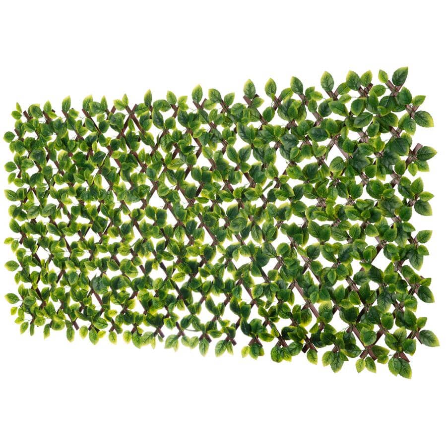 NATURAE DECOR Expandable PVC Trellis with Wild Mint Leaf | Home Hardware