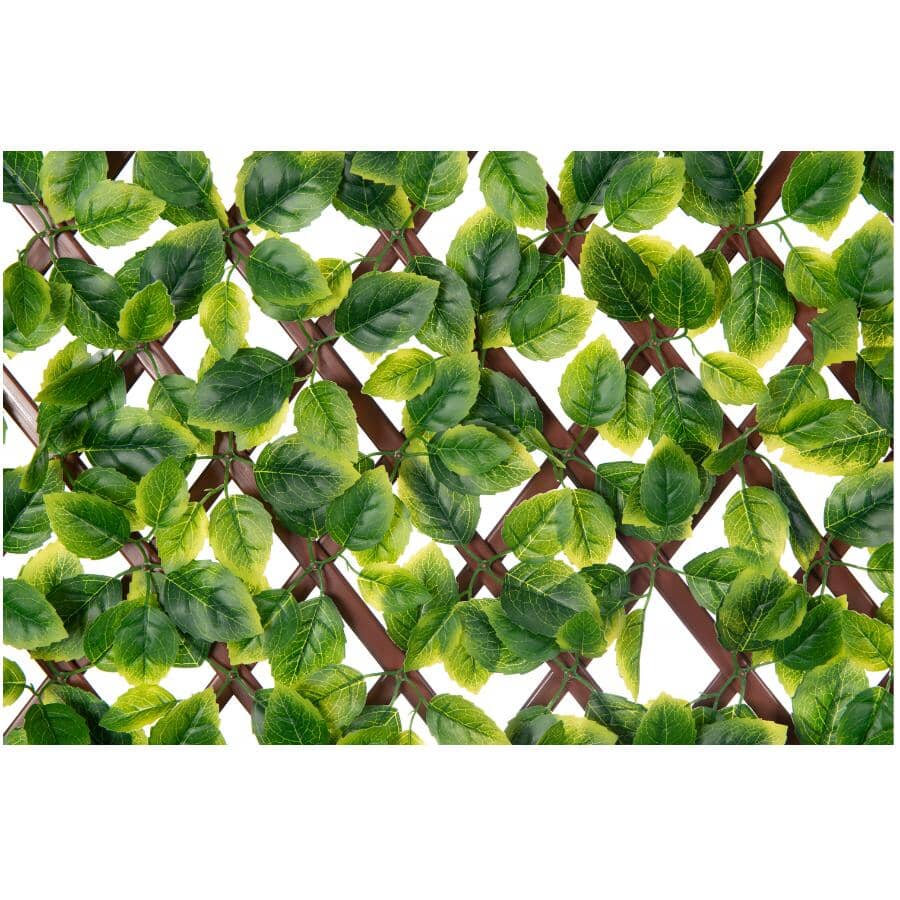 NATURAE DECOR Expandable PVC Trellis with Wild Mint Leaf | Home Hardware