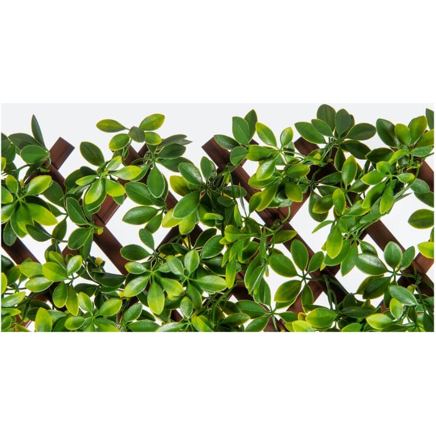 NATURAE DECOR Expandable PVC Trellis with Schefflera Leaf | Home Hardware
