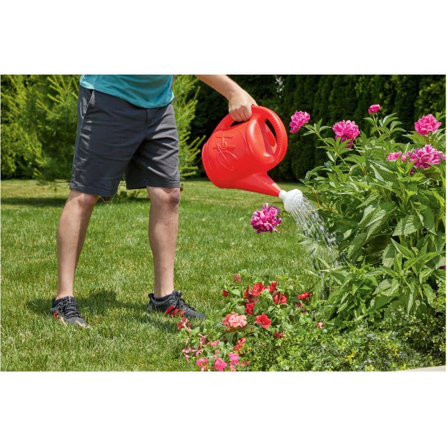 DCN Plastic Watering Can - Red, 7.6 L | Home Hardware