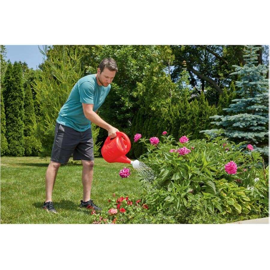 DCN Plastic Watering Can - Red, 7.6 L | Home Hardware