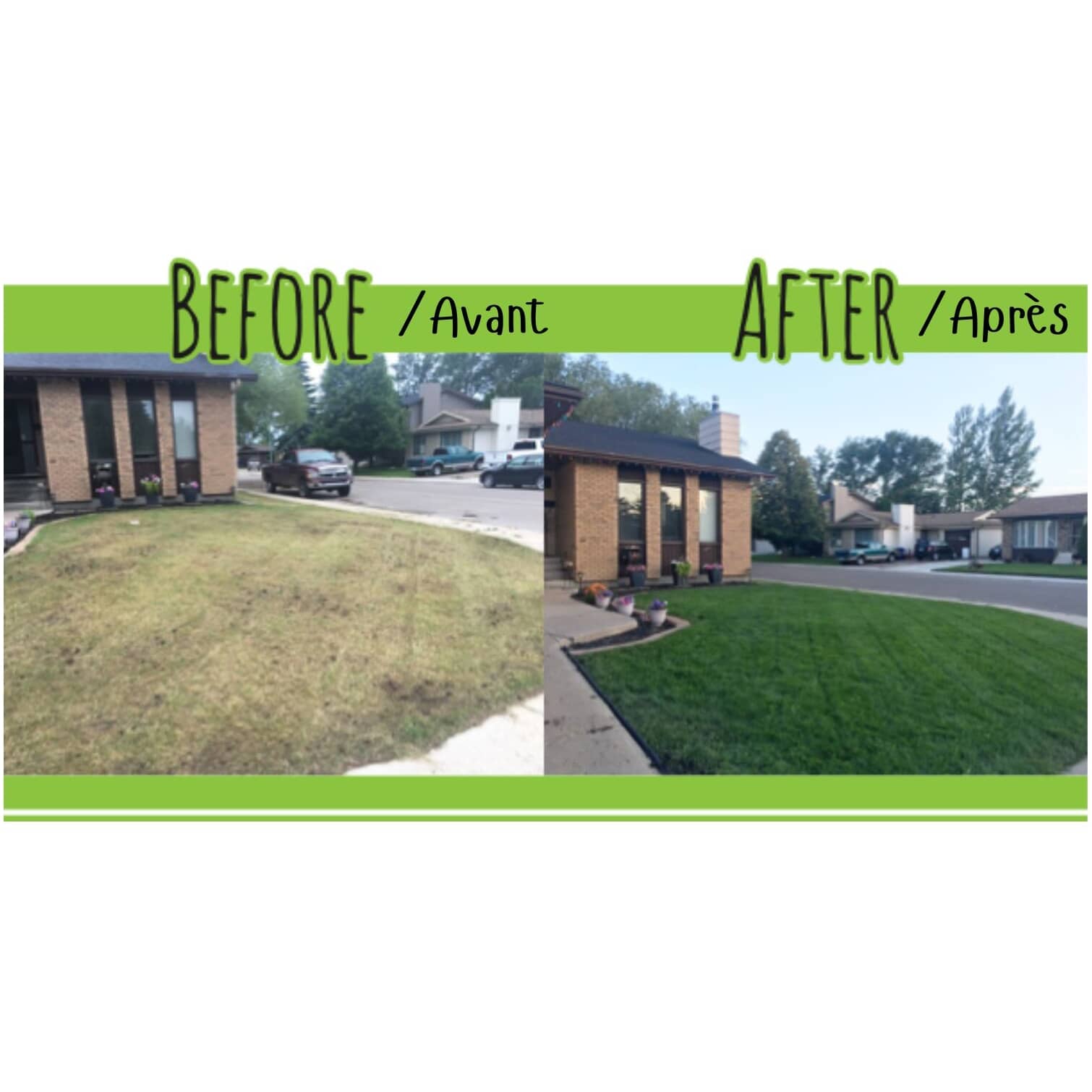 GROUND KEEPER Premium Quality Lawn Fertilizer (16-10-3-17-3) - 12.5 kg ...