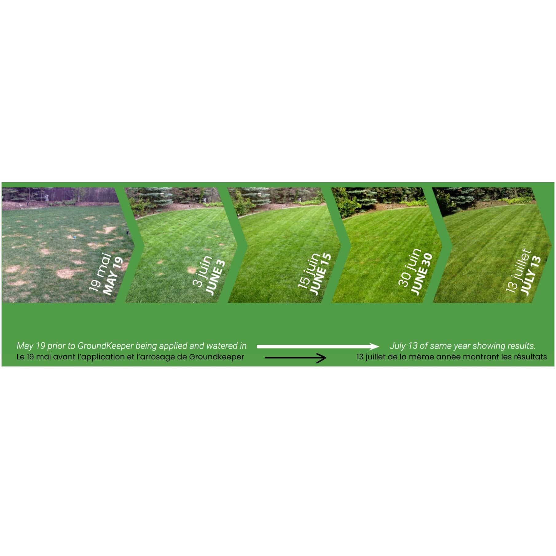 GROUND KEEPER Premium Quality Lawn Fertilizer (16-10-3-17-3) - 12.5 kg ...