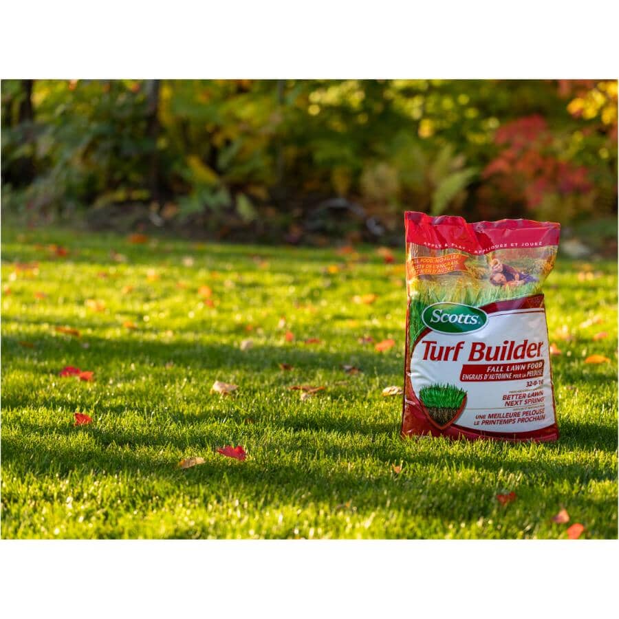 SCOTTS Turf Builder Fall Lawn Food | Home Hardware