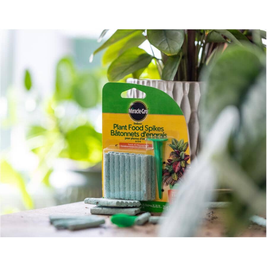 MIRACLE-GRO Houseplant Plant Food Spikes with Aerator for Easy ...