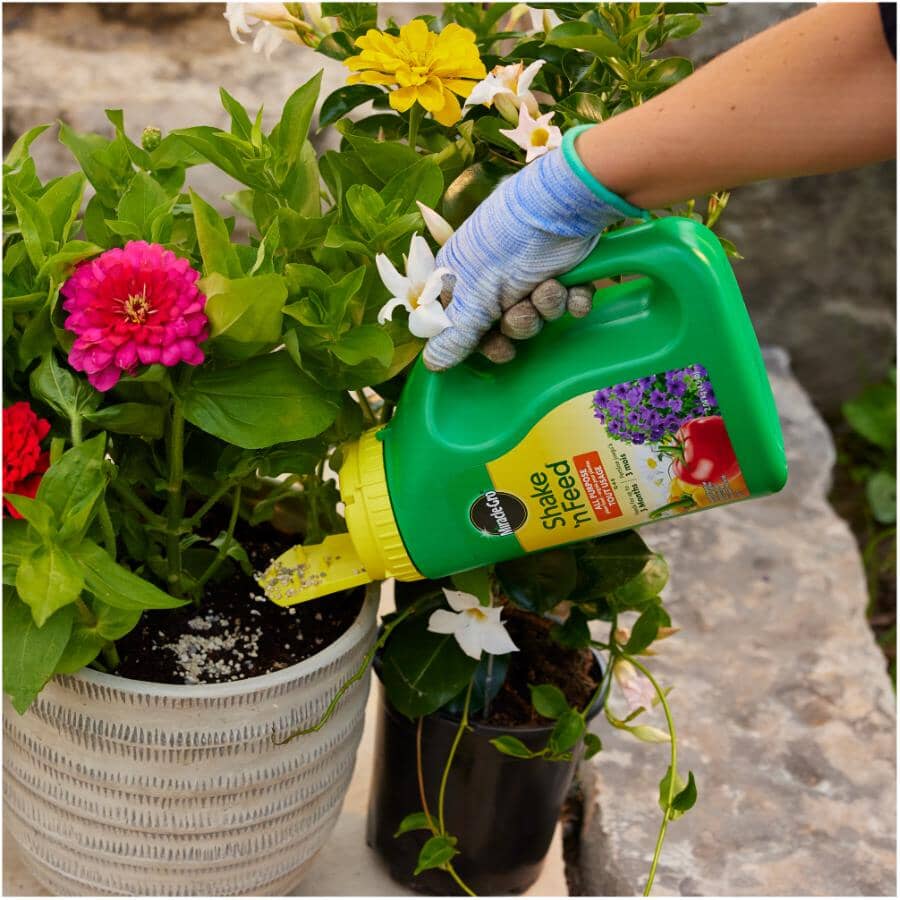 MIRACLE-GRO Shake 'n Feed All Purpose Plant Food | Home Hardware