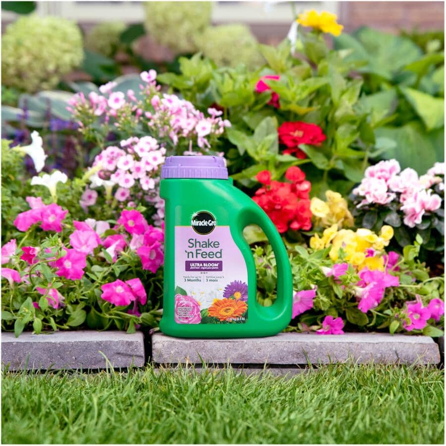 MIRACLE-GRO Shake N Feed Ultra Bloom Plant Food | Home Hardware