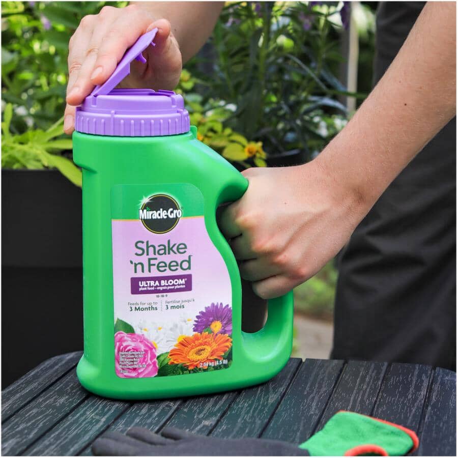 MIRACLE-GRO Shake N Feed Ultra Bloom Plant Food | Home Hardware