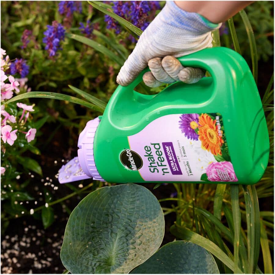 MIRACLE-GRO Shake N Feed Ultra Bloom Plant Food | Home Hardware