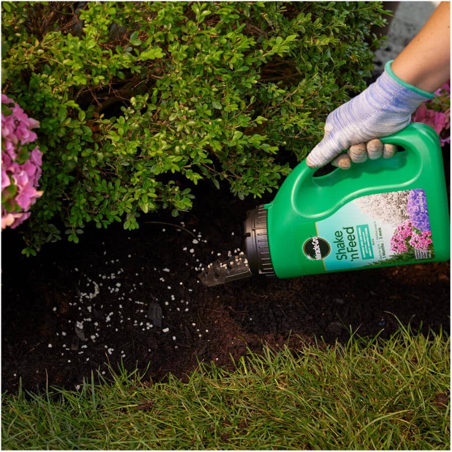 MIRACLE-GRO Shake N Feed Flowering Trees & Shrubs Plant Fertilizer ...