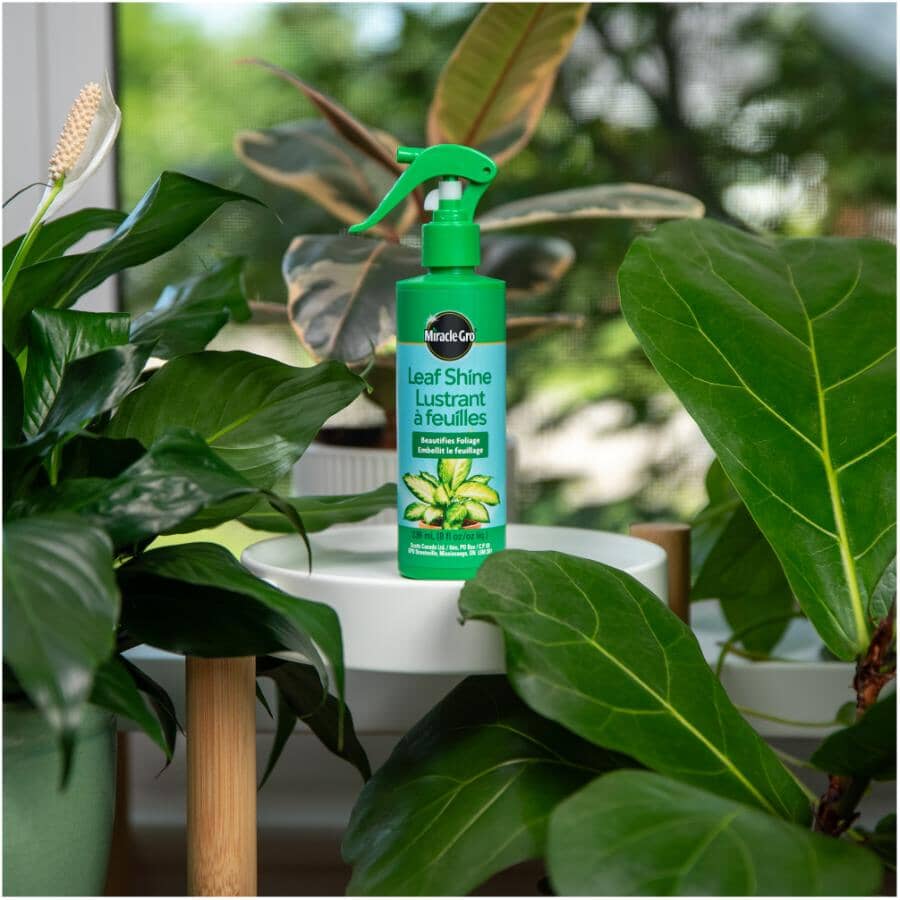 MIRACLE-GRO Leaf Shine Liquid Plant Fertilizer | Home Hardware