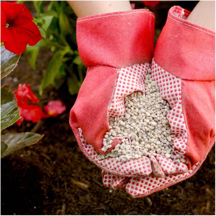 MIRACLE-GRO Shake 'n Feed All Purpose Plant Food | Home Hardware