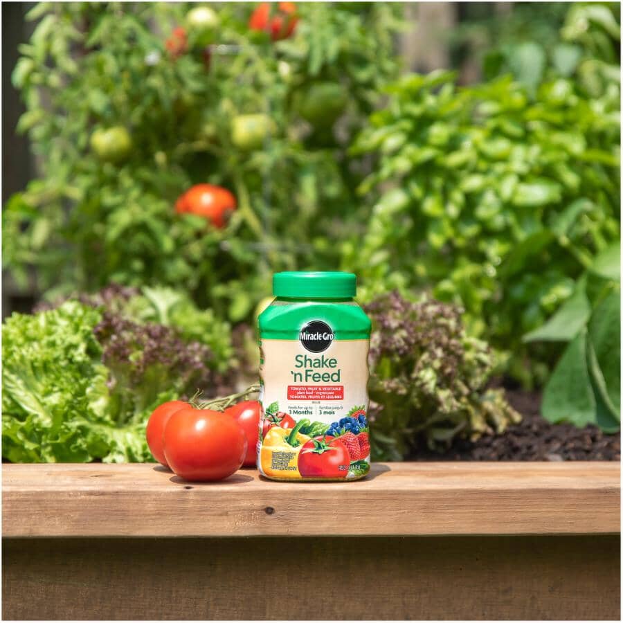 MIRACLE-GRO Shake 'n Feed Tomato, Fruits and Vegetables Plant Food ...