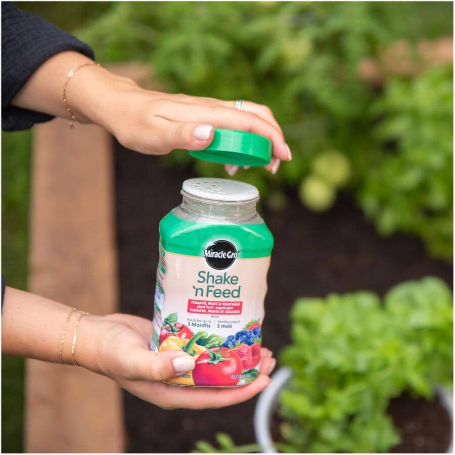 MIRACLE-GRO Shake 'n Feed Tomato, Fruits and Vegetables Plant Food ...