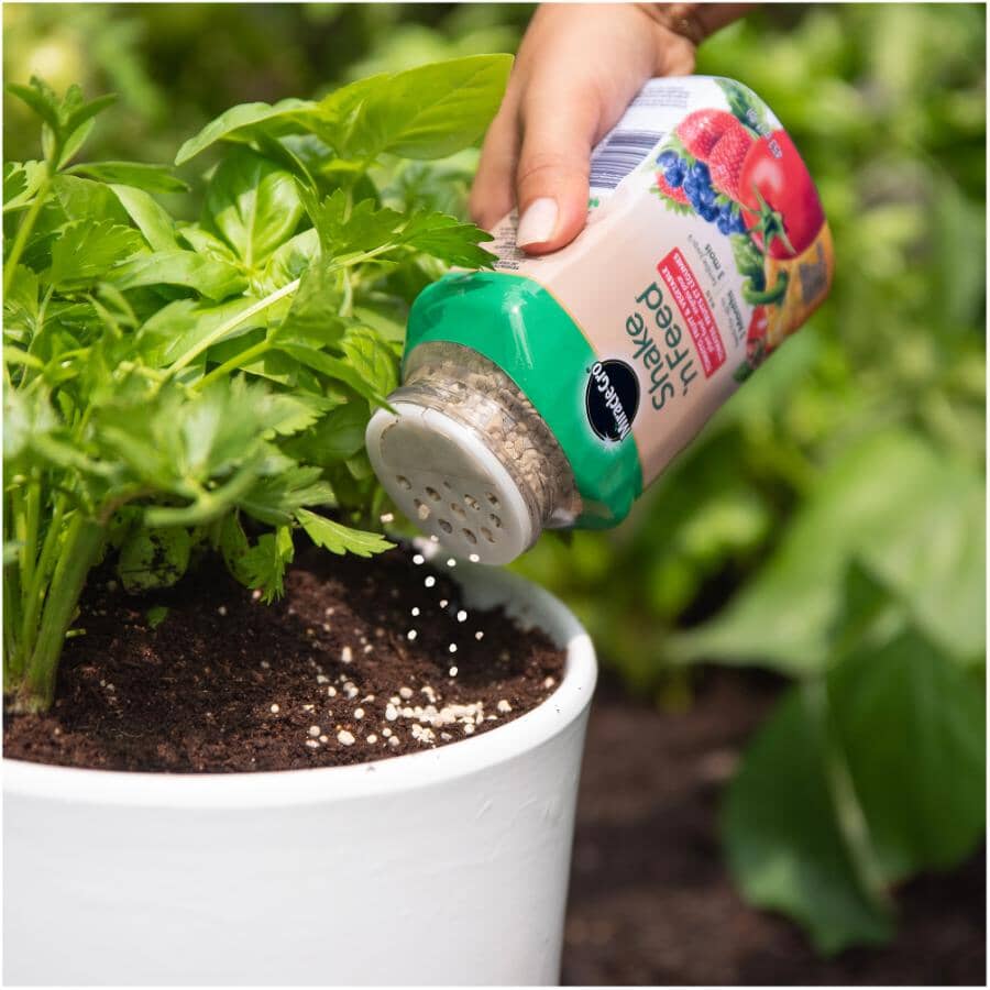 MIRACLE-GRO Shake 'n Feed Tomato, Fruits and Vegetables Plant Food ...