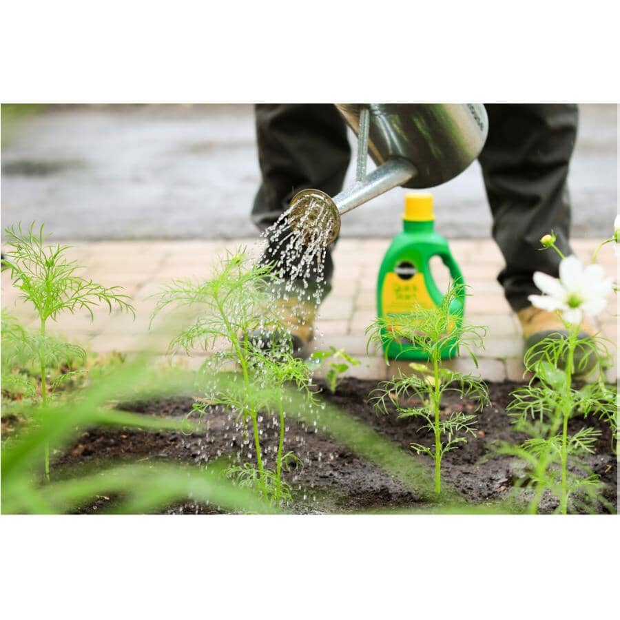 MIRACLE-GRO Quick Start Planting & Transplant Solution | Home Hardware