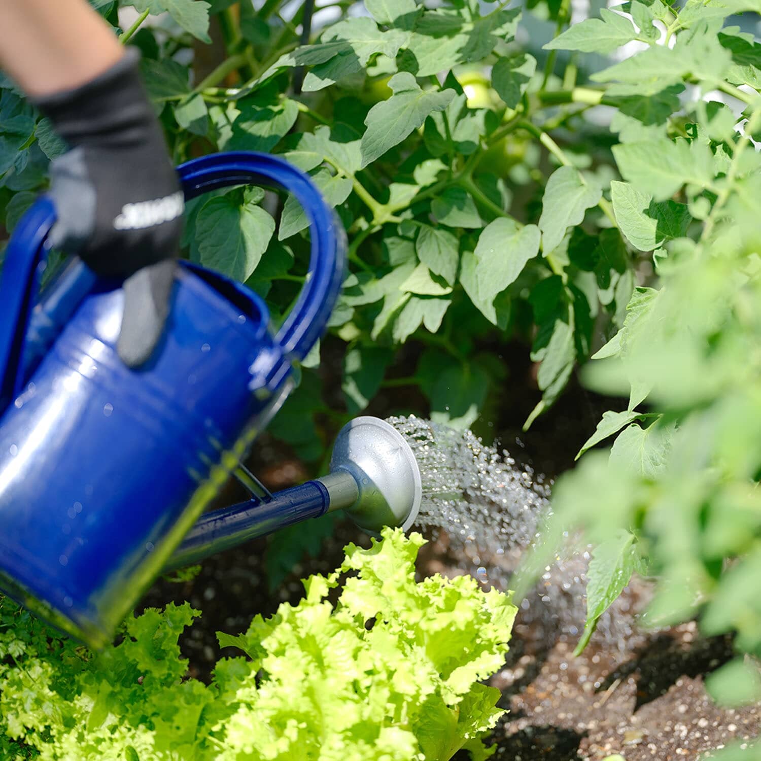 PRO-MIX Liquid Multi Purpose Fertilizer | Home Hardware