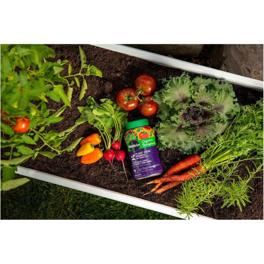 MIRACLE-GRO Organics Plant Food Granules for Vegetables & Herbs ...
