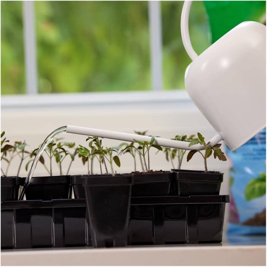 MIRACLE-GRO Seed Starting Plant Food | Home Hardware