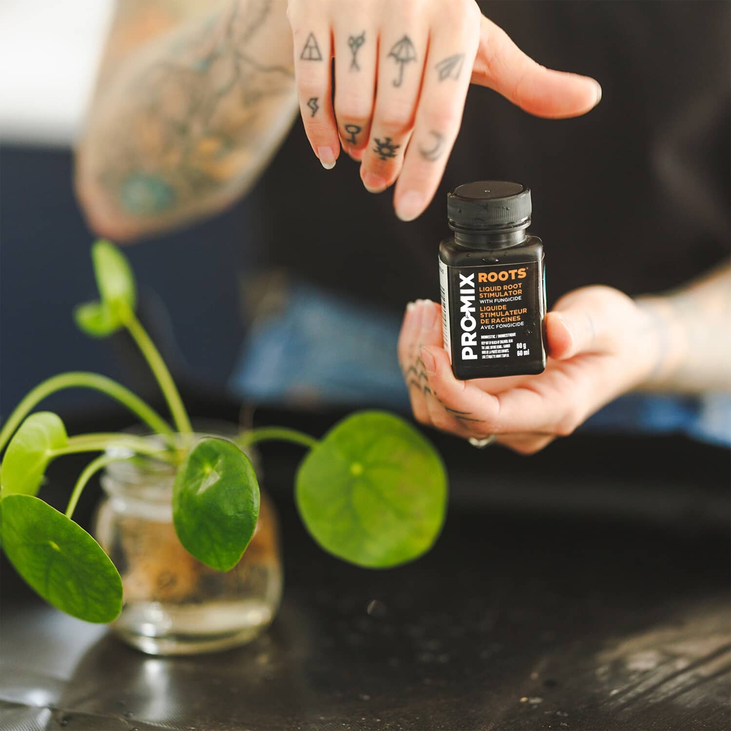 PRO-MIX Roots Liquid Root Stimulator with Fungicide | Home Hardware