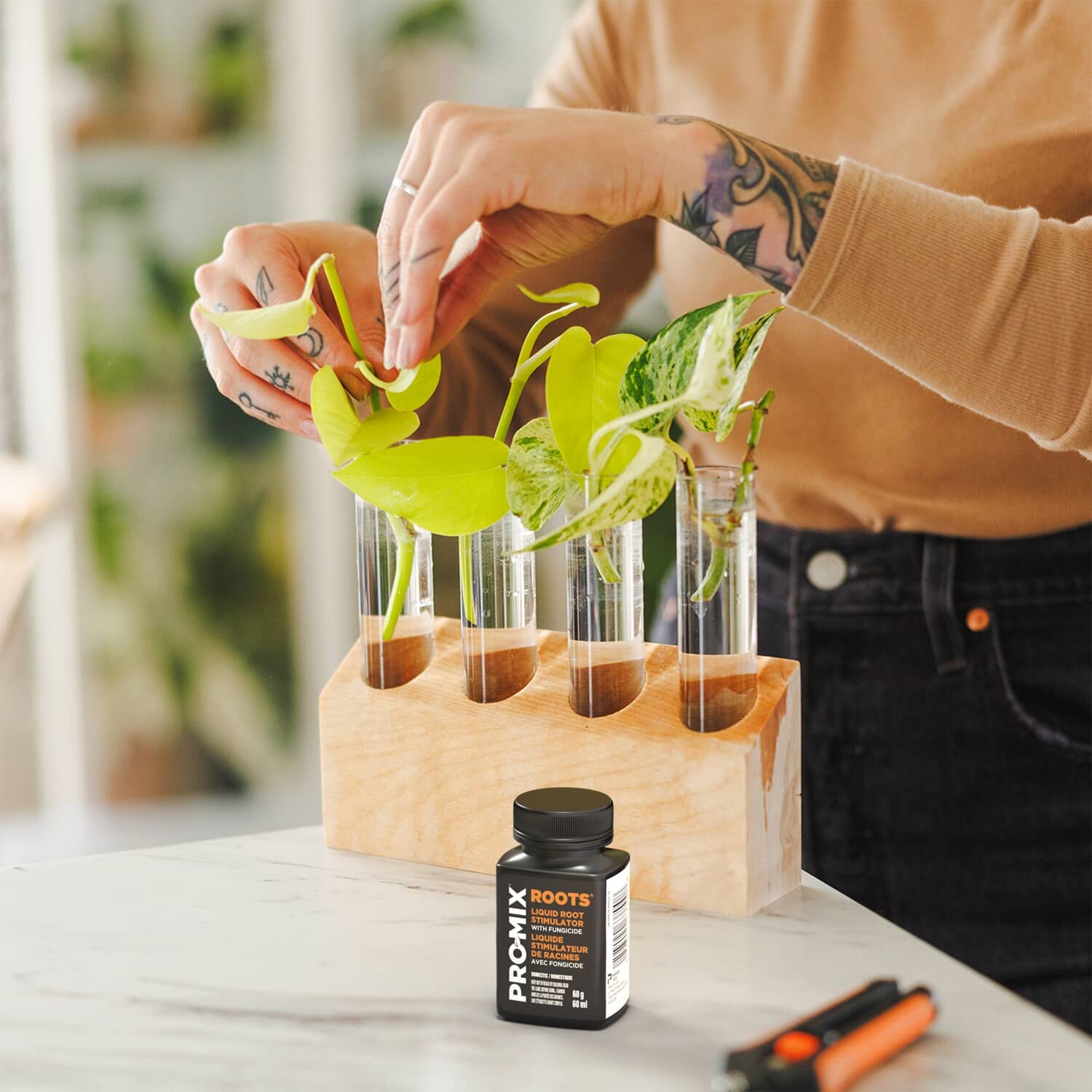 PRO-MIX Roots Liquid Root Stimulator with Fungicide | Home Hardware