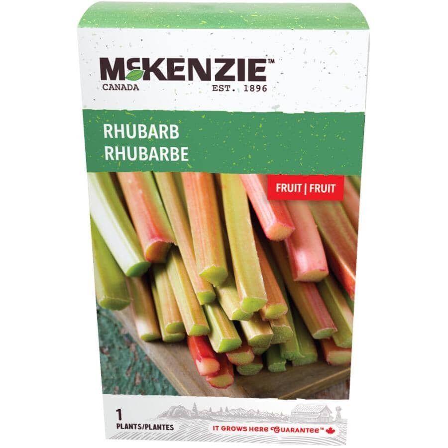 MCKENZIE Rhubarb Bulbs | Home Hardware