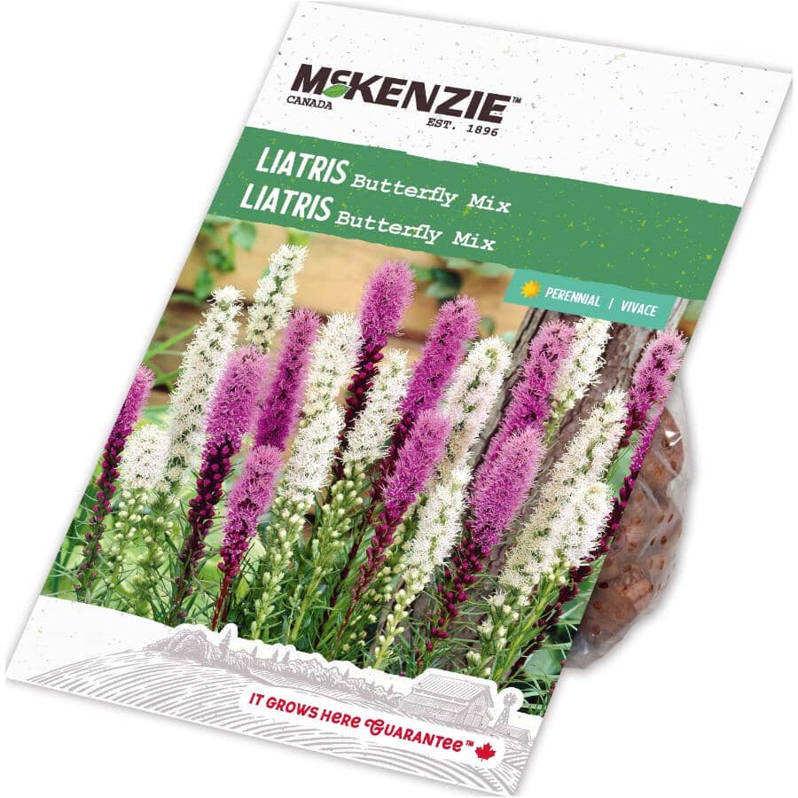 MCKENZIE Liatris Butterfly Mix Flowering Bulbs | Home Hardware