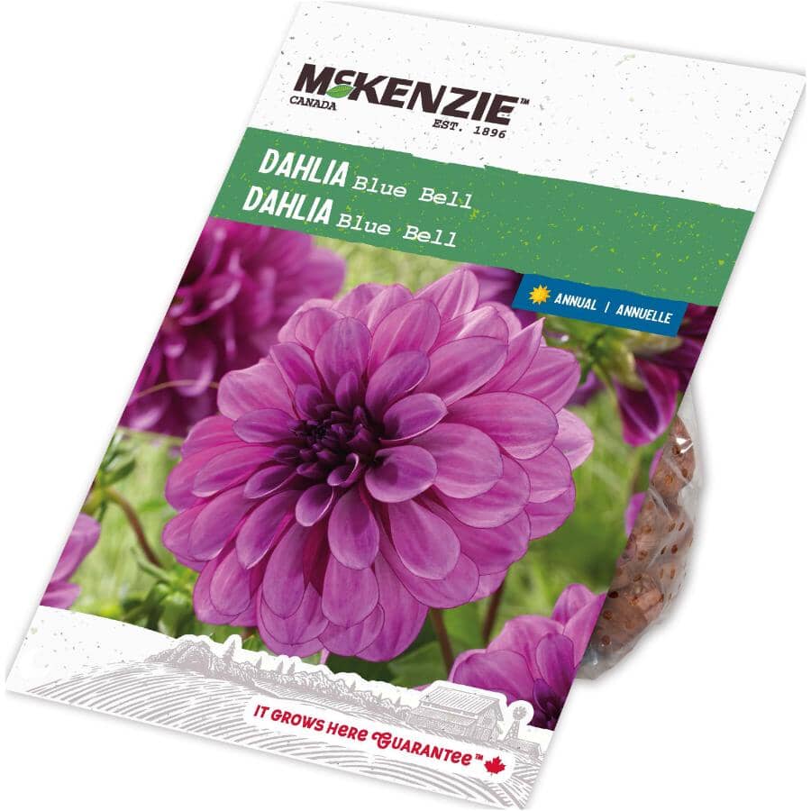 MCKENZIE Dahlia Bell Flowering Bulbs | Home Hardware