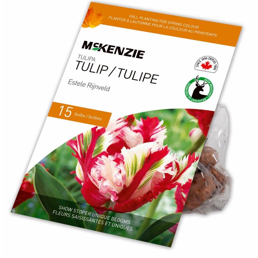 MCKENZIE Tulip Estele Rijnveld Flowering Bulbs | Home Hardware