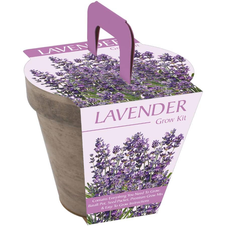 TOTAL GREEN Lavender Grow Kit with Terra Cotta Pot | Home Hardware