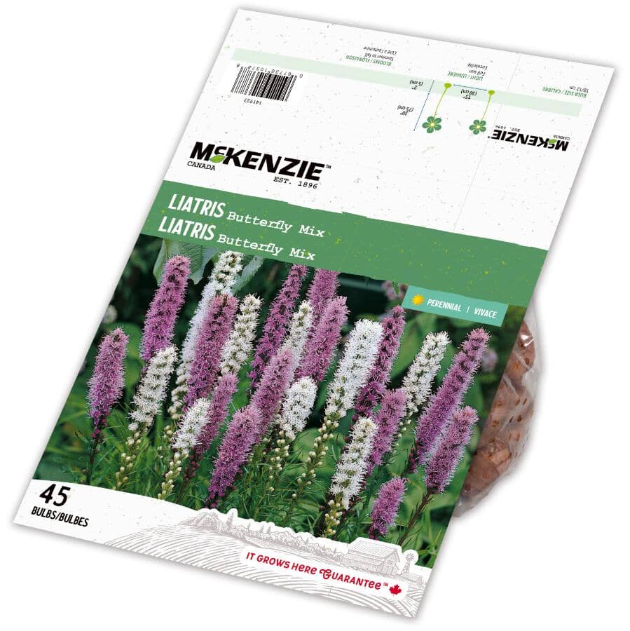 MCKENZIE Liatris Butterfly Mix Flowering Bulbs | Home Hardware