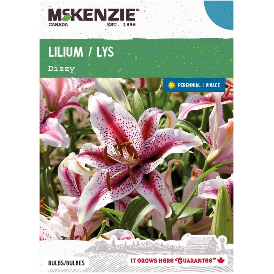 MCKENZIE Lilium Dizzy Flowering Bulbs | Home Hardware