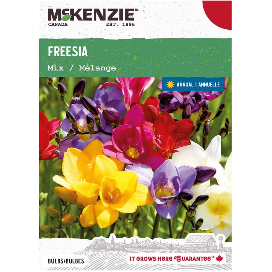 MCKENZIE Freesia Mix Flowering Bulbs | Home Hardware