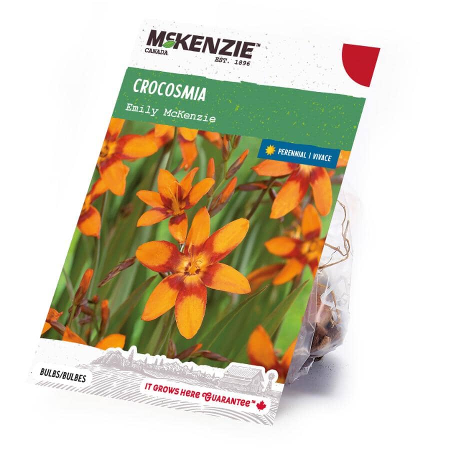 MCKENZIE Crocosmia Emily McKenzie Flowering Bulbs | Home Hardware