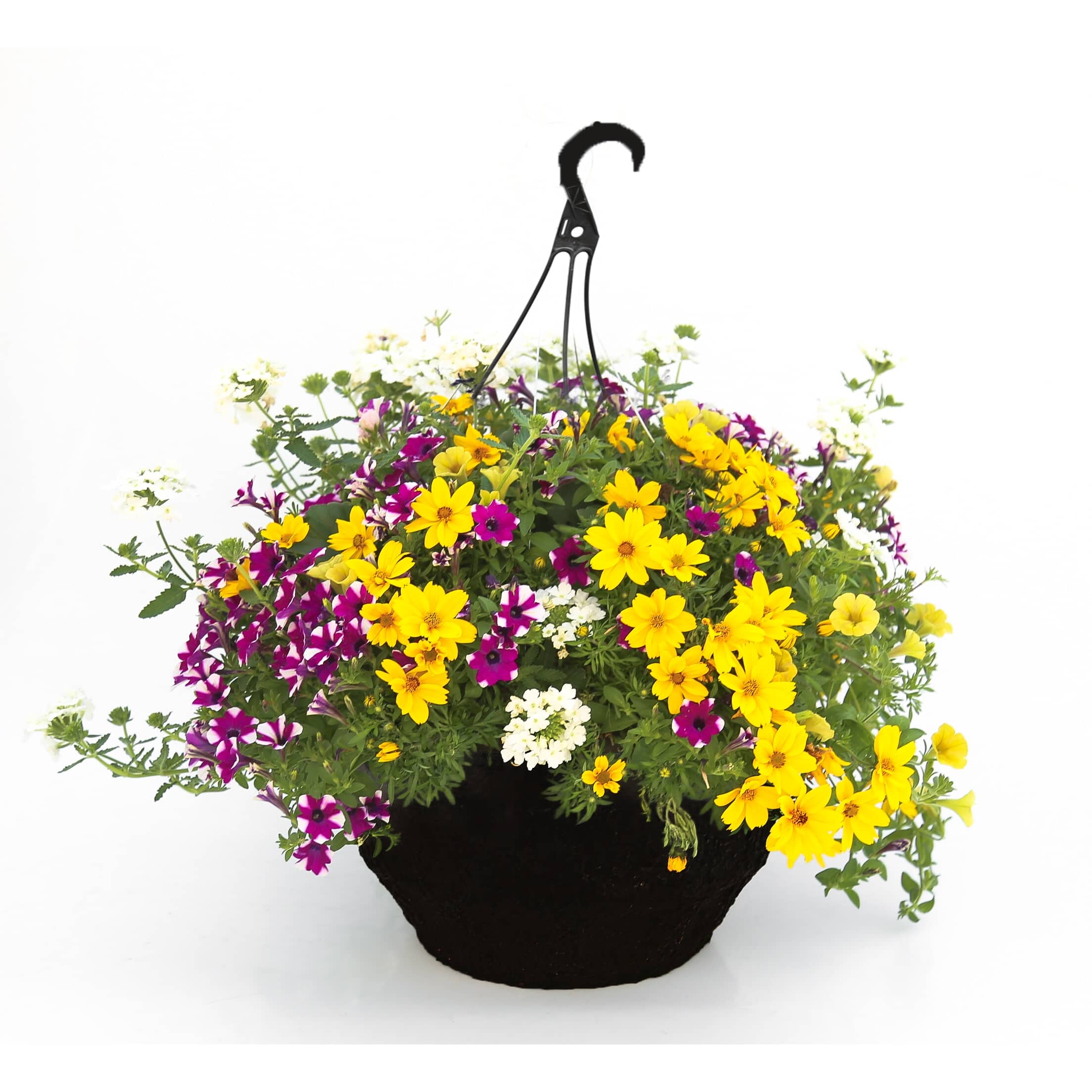 15" Blooming Combo Basket Planter | Home Hardware