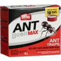 ORTHO 10 Pack Ant-B-Gon Traps | Home Hardware