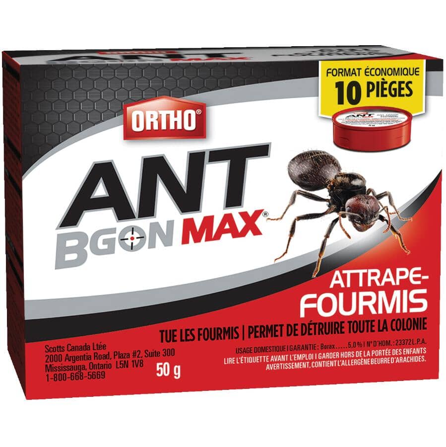 ORTHO 10 Pack Ant-B-Gon Traps | Home Hardware