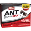 ORTHO 10 Pack Ant-B-Gon Traps | Home Hardware