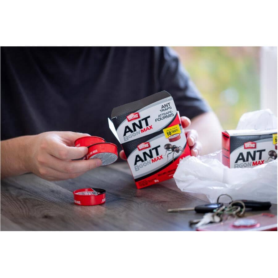 ORTHO 10 Pack Ant-B-Gon Traps | Home Hardware