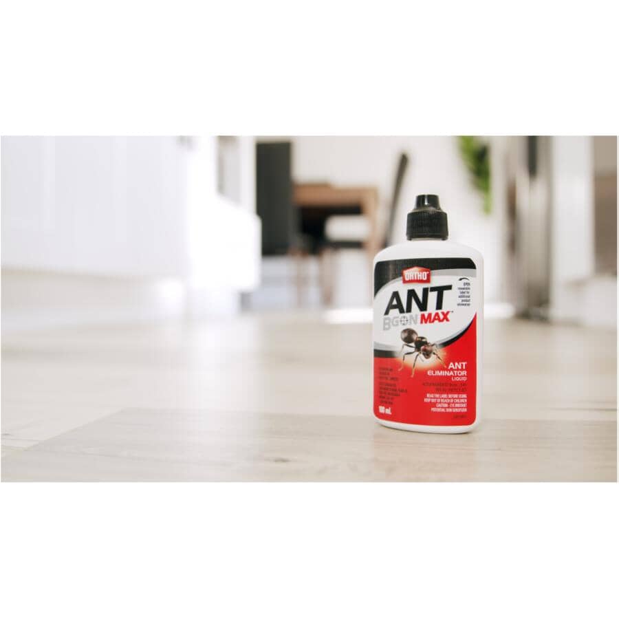 ORTHO Ant B Gon MAX Ant Eliminator Liquid | Home Hardware