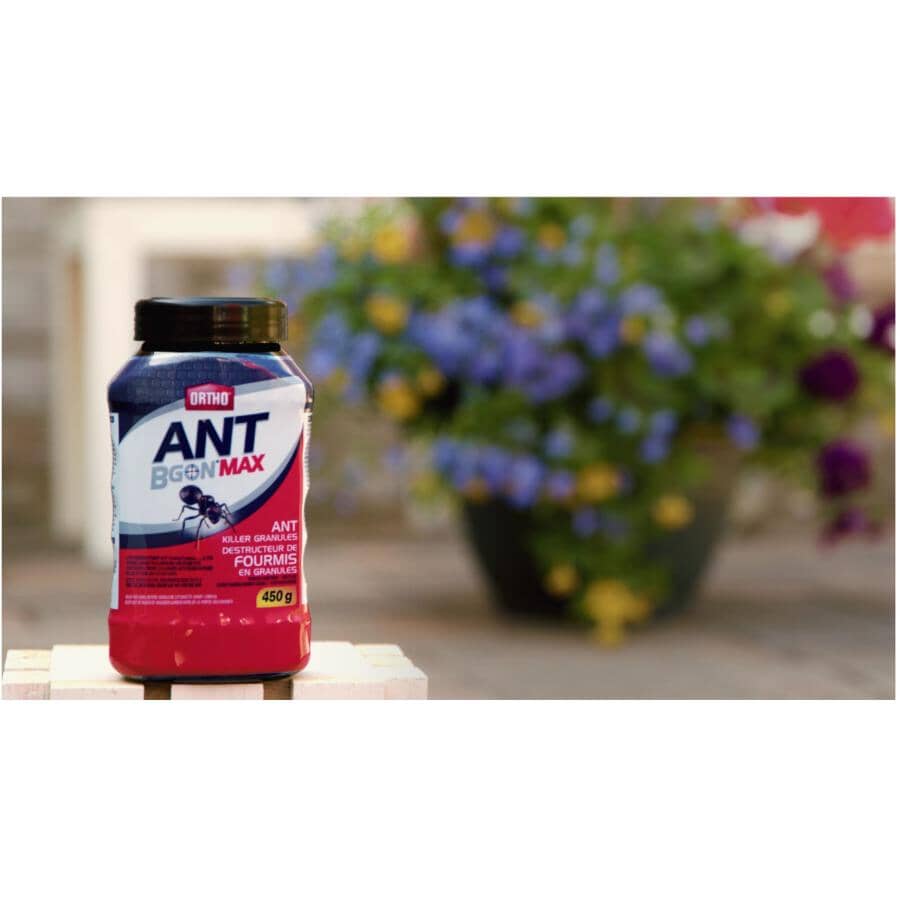 ORTHO Ant B Gon MAX Ant Killer Granules | Home Hardware