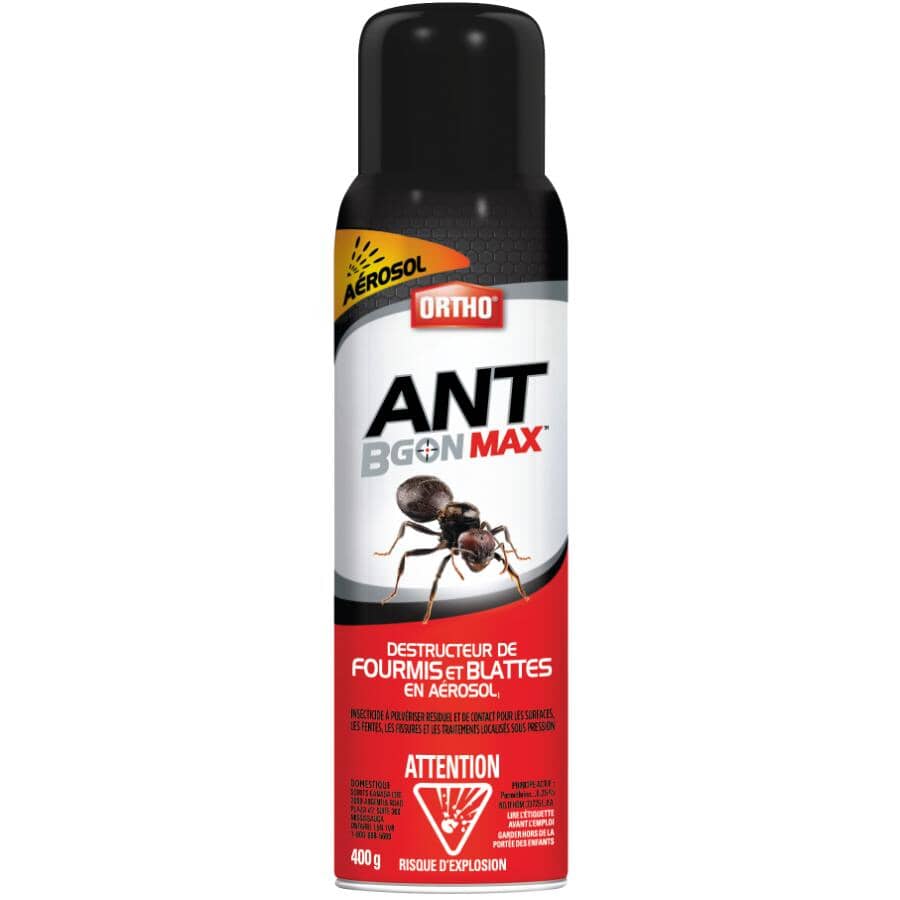 ORTHO Ant B Gon MAX Ant & Roach Killer Spray | Home Hardware