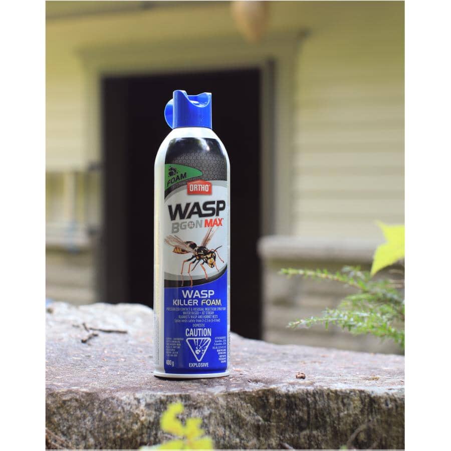 ORTHO Wasp B Gon MAX Killer Spray Foam | Home Hardware