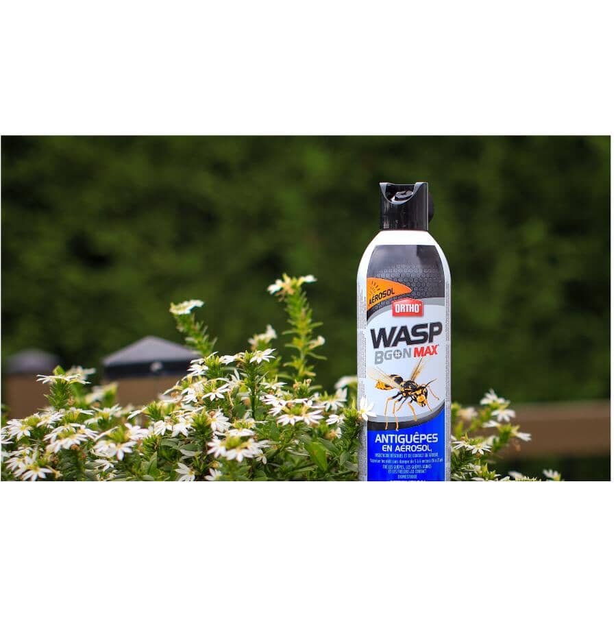ORTHO Wasp B Gon MAX Killer Spray | Home Hardware