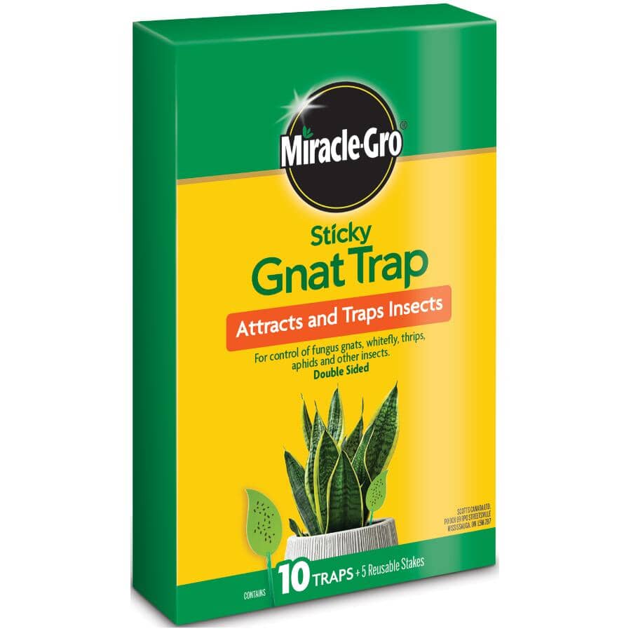MIRACLE-GRO Sticky Gnat Traps - 10 Pack | Home Hardware
